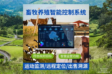 智能项圈助力精准畜牧管理，实时监控健康与行为aiotagro 爱农云联 致力于高效、安全的食品生产