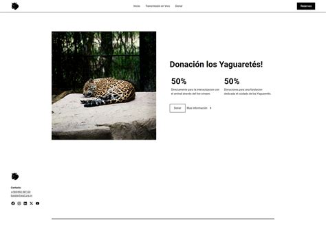 Hackathon Project React Tailwind Css Behance