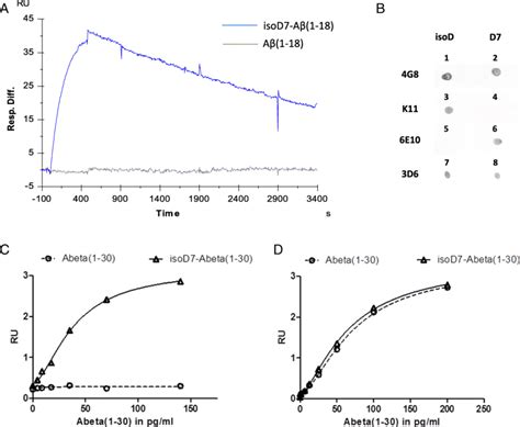 Antibody Characterization And Elisa Development A The Interaction Of