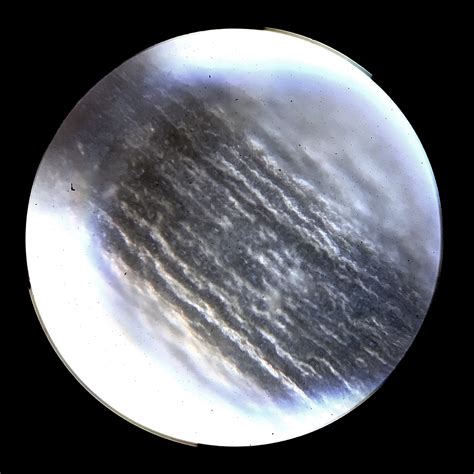 Graphite Under Microscope At Jennifer Wilkins Blog