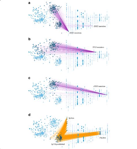 2D Diffuse Glioma Plots With Accompanying Chromosomal Ideograms A The Download Scientific
