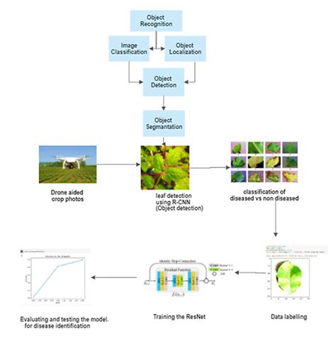 Disease Detection Using Region Based Convolutional Neural Network And Resnet