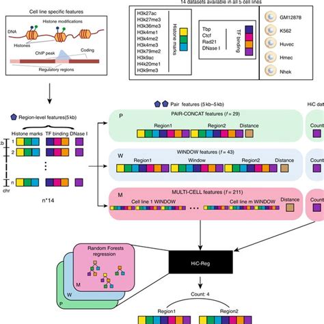 Overview Of The Hic Reg Framework Hic Reg Makes Use Of 14 Datasets Download Scientific
