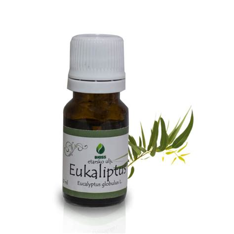 Eucalyptus Essential Oil Eucalyptus Globulus Bioss Phytopreparates And Phytocosmetics 100