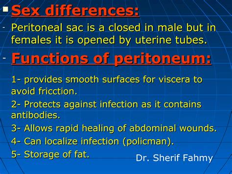 The Peritoneum Anatomy Of The Abdomen Pps