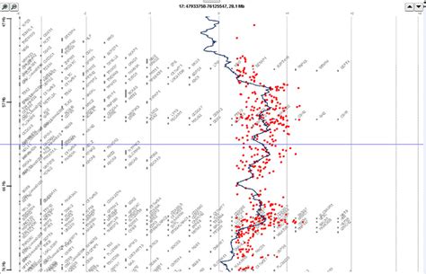 Array Comparative Genomic Hybridization Profile Of The Duplicated Download Scientific Diagram