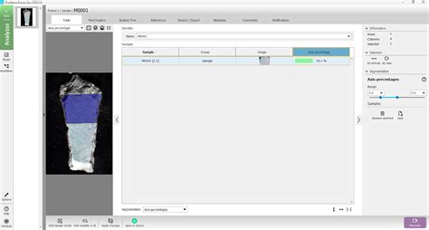 Axis Percentage Segmentation