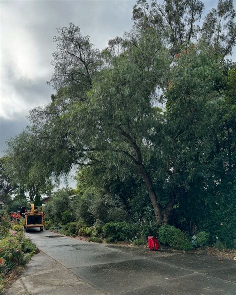 Agile Tree Works Added A New Photo — In Agile Tree Works