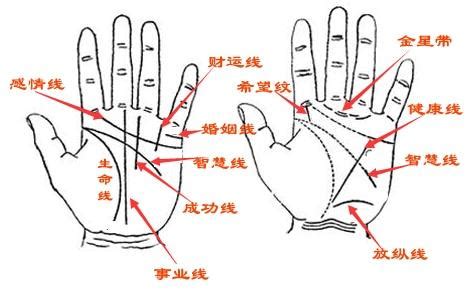教你如何分析手相 女生手相分析 周易算命网