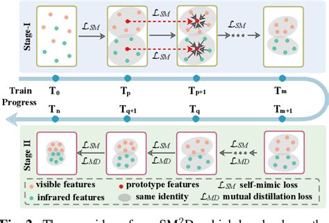Figure 2 From Self Mimic Mutual Distillation For Cross Modality Person Re Identification