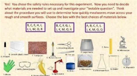 Scientific Method Process Interactive PPT To Design Experiment Made By Teachers