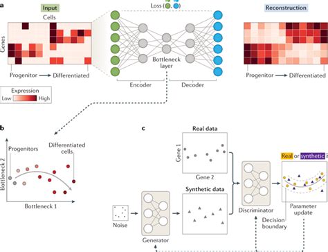 Introduction To Deep Learning Artofit