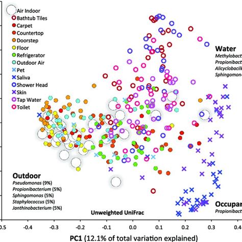 principal coordinates plot showing the overall variation in bacterial
