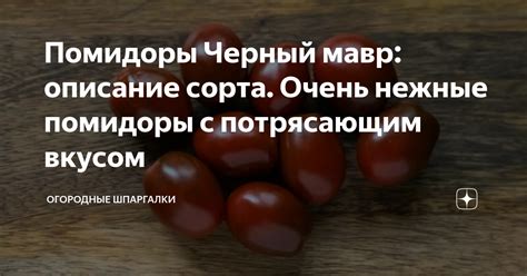 Помидоры Черный мавр: описание сорта. Очень нежные помидоры с ...