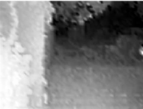 A Dense Motion Field Between Image 71 And 83 In Street Sequence B Download Scientific