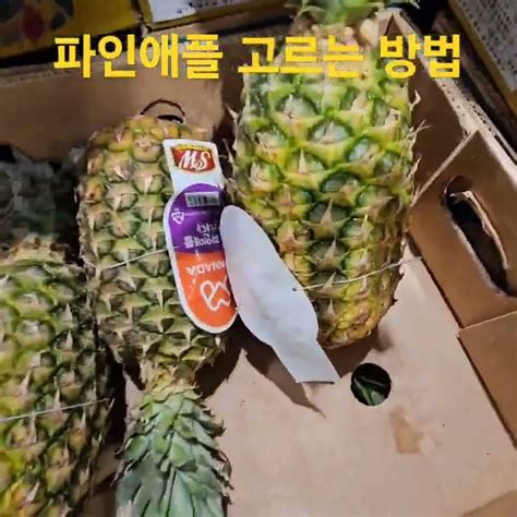 잘익은 파인애플 고르는 방법 Youtube