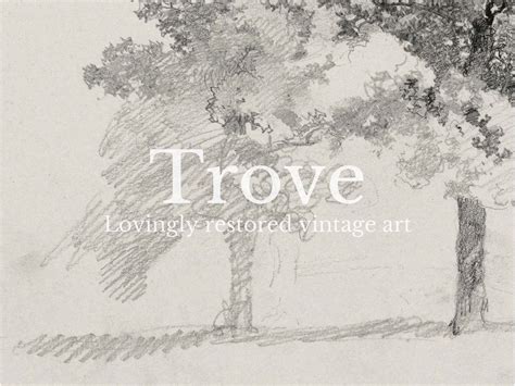 Tree Sketch II Trove Prints Tree Sketch II Trove Prints