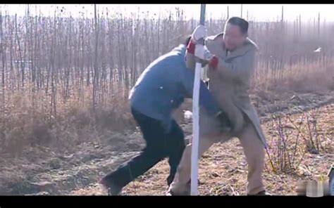 马大帅跟彪哥打仗搞小动作，不料彪哥不仅小树不倒完了还有后手。哔哩哔哩bilibili