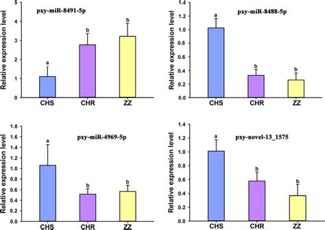 Qrt Pcr Validation Of Common Differentially Expressed Mirnas In Chr And Download Scientific