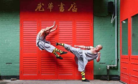 Why You Should Watch And Do Martial Arts Kung Fu Kingdom