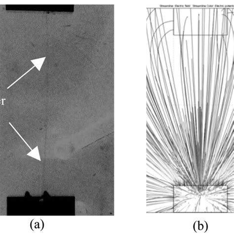 schematic representation of the experimental setup with parallel macro