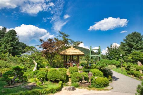 프라이빗 전세투어 한국｜잔디마 알파카 파라다이스 And 남이섬 And 레일바이크 And 쁘띠프랑스 마을 And 아침고요수목원 Kkday