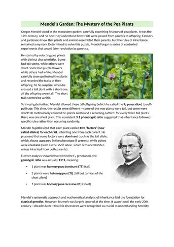 Monohybrid Inheritance Aqa A Level Biology Teaching Resources