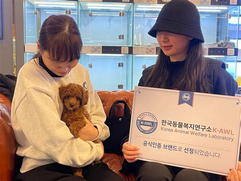 푸들 한치 보더콜리분양가격 프렌치불독분양가격 빠삐용분양가격 파피용분양가격 사모예드분양가격 스피츠분양가격 시바견분양가격 시베리안허스키분양가격 시츄분양가격 요크셔테리어분양가격