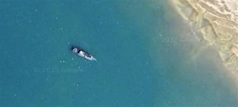 Project1 Object Detection Dataset By Project1