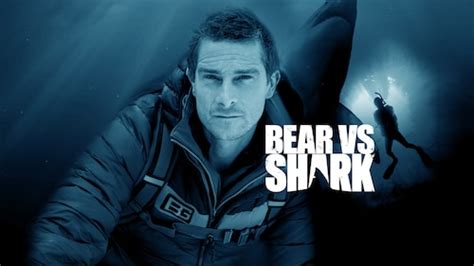 Watch Bear Vs Shark Discovery