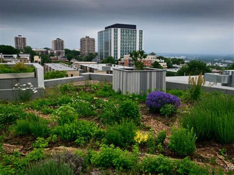 Une Nouvelle Formation En Ligne Pour Aider Les