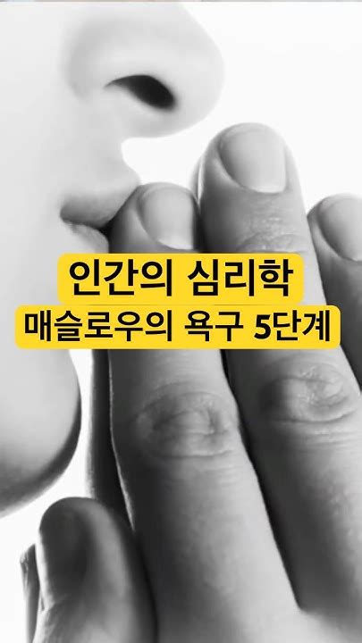 인간의 기본적인 욕구 인간욕구 심리학 생리적욕구 안전욕구 소속과사랑 인간관계 생존필요 심리학연구 Youtube