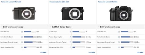 Panasonic Lumix Gx80 Gx85 Sensor Review Diminutive Design Dxomark