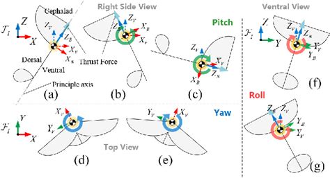 Figure 1 From Neural Network Based Hybrid Three Dimensional Position Control For A Flapping Wing