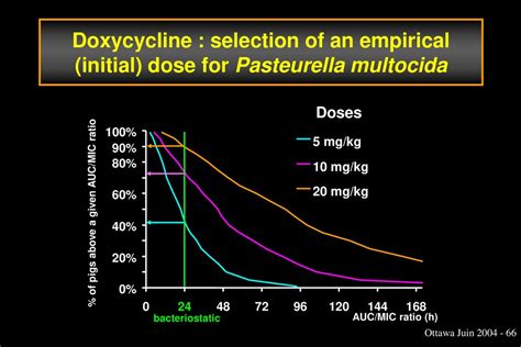 Pierre Louis Toutain Aavm Congress Ottawa June Ppt Download