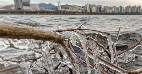 강추위에 고드름 생긴 한강