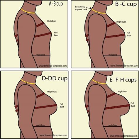Finding Dress Bust Cup Sizes Timeless Templates Sewing Measurements