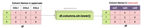 How To Change Column Names To Lowercase In Pandas DataFrame