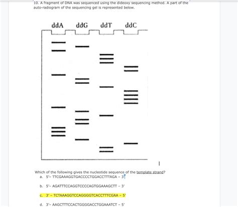 Solved A Fragment Of DNA Was Sequenced Using The Dideoxy Chegg