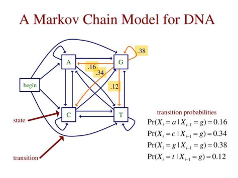 Ppt Markov Chain Models Powerpoint Presentation Free Download Id