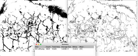 Grain Size Analysis With SEM Materials Characterization Lab