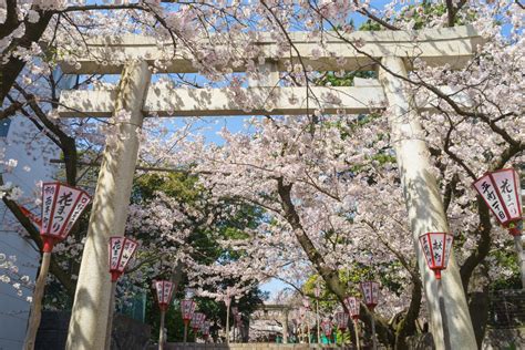 沼津日枝神社 静岡 沼津 人気スポット