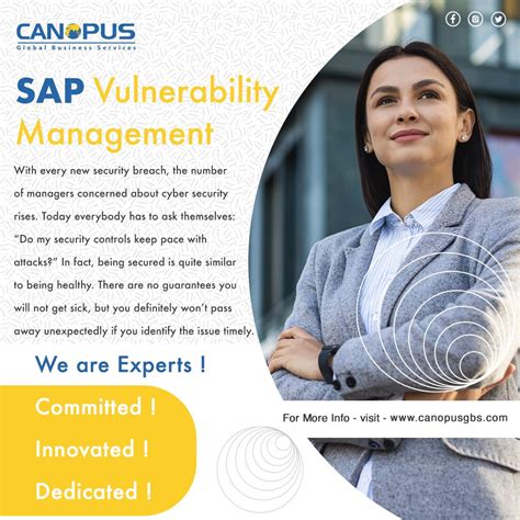 Canopus It Consulting It Services Automation On Linkedin Sap Management