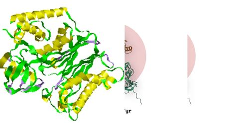 List Bioinformatics Curated By Stephen Ogada Medium