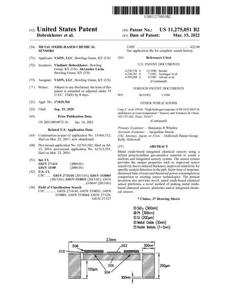 Emerging Technology Patents Patent Attorneys Hollowell Patent Group