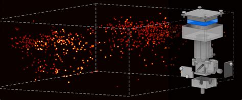 High Speed Volumetric Imaging Of Neuronal Activity In Freely Moving Rodents Vaziri Lab