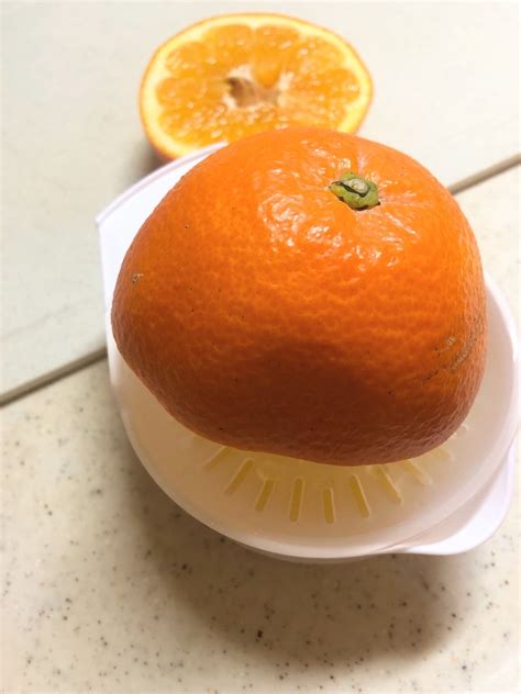 生搾り伊予柑サワー 『masamiブログ』