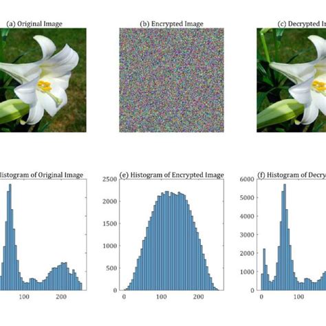 image and histogram of encryption decryption comparing figure 9 a