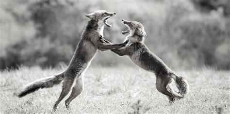 Dossier Différends Et Réclamations En Construction