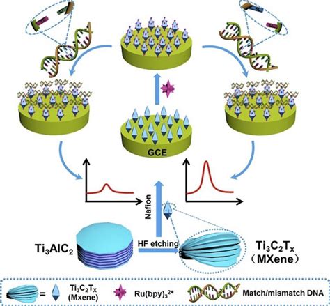 Schematic Diagram Of Solid State Sensor Preparation On Glass Carbon Download Scientific Diagram